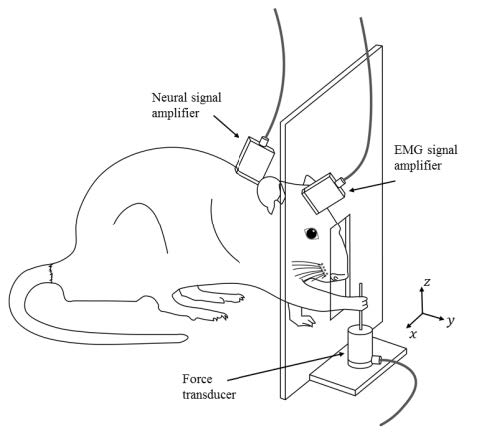 Neural Prosthetics Laboratory